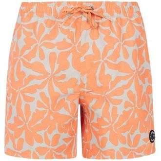 Protest Herren Badeshorts PRTBaza