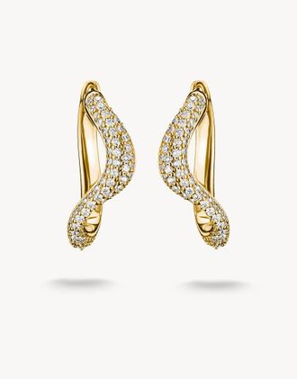 Thomas Sabo cr&eacute;oles avec zirconias blancs en or jaune, blanc-Dor&eacute;
