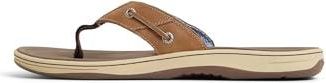 Sperry Top-Sider Baitfish pour hommes, Medium Beige, 42 EU