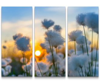 Paul Sinus Art Leinwandbilder | Bilder Leinwand 130x90cm Baumwolle bei Sonnenuntergang