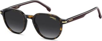 Carrera Homme, Accessoires, Brun, Taille: 50 MM Lunettes de soleil 376/S