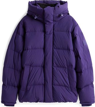 Tommy Hilfiger Gesteppte Puffer-Daunenjacke mit Kapuze in