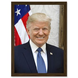Artery8 Us President Donald Trump Photo A4 Artwork Framed Wall Art Print Pr&auml;sident Foto Mauer