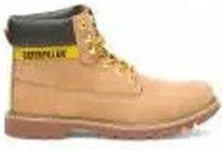 CAT Amphibiens chenille Colorado 2.0 Honey Reset