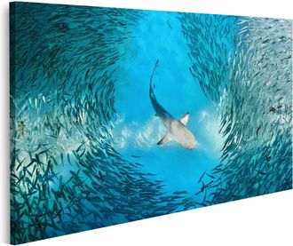 Islandburner Prime Bild auf Leinwand Hai und kleine Fische im Meer Bilder Wandbild Poster Leinwandbild