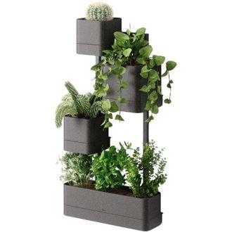 Umbra Etag&egrave;re &agrave; plantes murale Cubiko