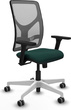 Piqueras y Crespo Schreibtischstuhl in Wassergr&uuml;n, mit 3D-Armlehnen, h&ouml;henverstellbare Lendenwirbelst&uuml;tze, ausgestattet mit 3 Positionen und Schneidschaum, Grau/Flasche