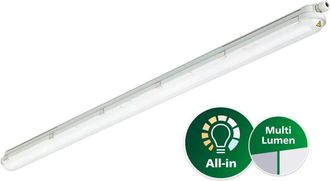 Philips CoreLine WT120C LED-Leuchte, 43W, 4000K, IP65, IK08, 50020499