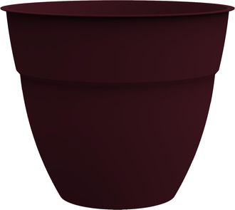 Eda Blumentopf, Bordeaux, Standard