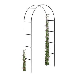 Relaxdays 10018871 Arche &agrave; Rosiers Plantes Grimpantes M&eacute;tal/Acier 2,4 m