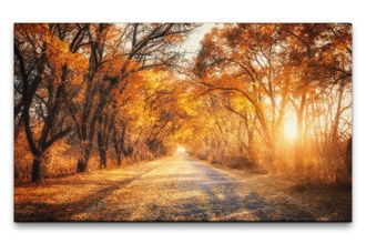 Paul Sinus Art Bilder XXL Bäume um einen Schleichweg 120x70cm Wandbild auf Leinwand