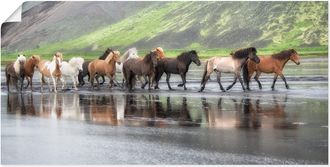 Artland Wanddeko Poster & Kunstdrucke Wandposter 100 x 50 cm Natur Island Tiere Haustiere Pferd Foto Natur Isländische Pferde T1SN