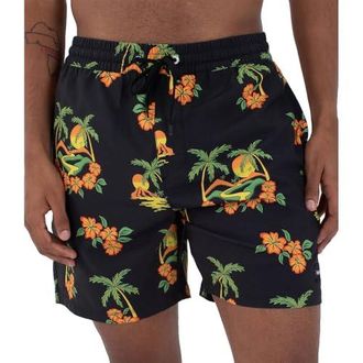 Hurley Boardshort Hommes - Cannoball Volley 17