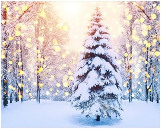 Wallario Poster - Winterzauber im Lichterglanz in Premiumqualit&auml;t, Gr&ouml;&szlig;e: 40 x 50 cm