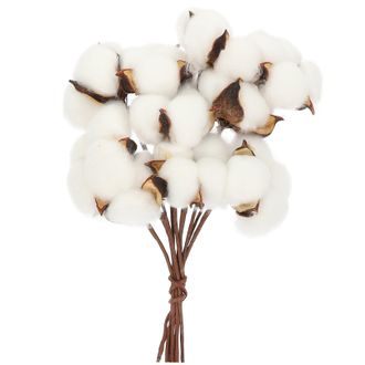 Angoily Getrocknete Baumwollzweige Nat&uuml;rliche Trockenblumen Bauernhaus-dekor Langlebig Vielseitig f&uuml;r Weihnachtsfeier Hochzeit Fotorequisite Tischdekoration