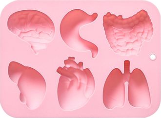 Generic Orgel Form Organform Silikon - Organ Form Herz Gehirn Magen Leber Darm Lunge Fondant Form 6 Hohlr&auml;ume Schokoladenfondant Form f&uuml;r Dekoration