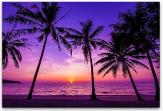 Paul Sinus Art Palmen und Meer Wandbild in verschiedenen Größen Wähle Deine Größe 150x100cm