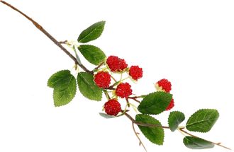 Holibanna Künstliche Himbeeren Dekoration Himbeermodell Künstlicher Zweig Ornament Tischdekoration