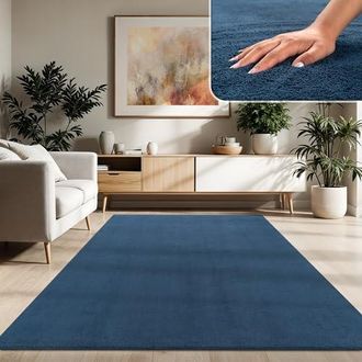 Paco Home Tapis Moderne Doux Salon À Poils Courts Lavable Fluffy Uni Effet Fourrure Intemporel Élégant Antidérapant Facile À Entretenir, Dimension:300x400 cm, C