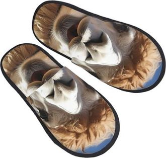 Generic Slippers Alpaga Lama Lavables Pantoufles En Coton Confortable Chaussons Maison Pour Outdoor DIntérieur De Camping M