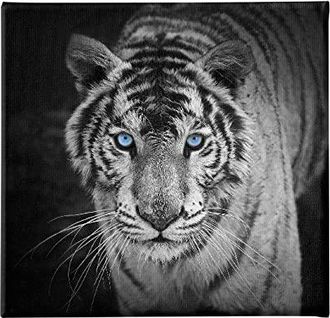 Homemania HM20KNV60x60-169 Bild Feline - Tiere - für Wohnzimmer, Schlafzimmer - Mehrfarbig aus Polyester, Holz, 60 x 3 x 60 cm - HM20KNV60 x 60 - 169