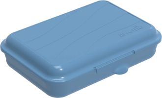 Rotho Fun flache Vesperdose 0,45l mit Klickverschluss, Kunststoff (PP) BPA-frei, blau, 0,45l (16,0 x 11,0 x 4,0 cm)