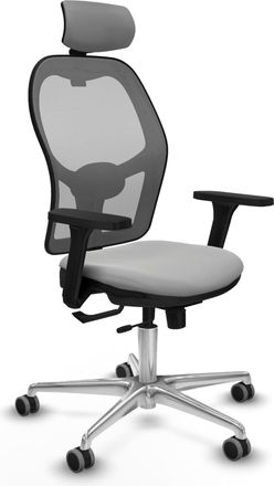 Piqueras y Crespo Ergonomischer Drehstuhl mit 3D-Armen, h&ouml;henverstellbare Lendenwirbelst&uuml;tze und h&ouml;henverstellbares Kopfteil, Grau/Hellgrau
