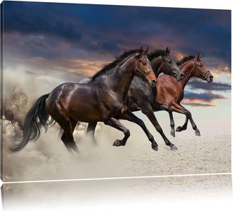 Pixxprint DREI Wilde Westernpferde, Größe: 80x60cm, Leinwandbild, fertig gespannt, Wandbild, Dekoration, Kunstdruck, kein Poster