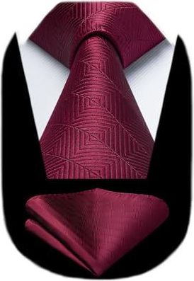 Hisdern Cravate Homme Bordeaux Plaid Cravate et Pochette Set Couleur Unie Mariage Classique Formelle Élégant Affaires Fete Travail