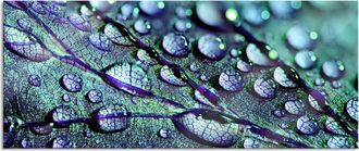 Pixxprint Glasbild Panorama, Wandbild aus Echtglas, Nahaufnahme Wassertropfen auf Blatt, 100x40 cm, inkl. Aufhängung und Abstandshalter