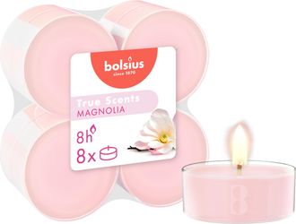 Bolsius Bolsius True Scents - 8 Teelichter Maxi Duft - Magnolie - Lange Brenndauer von 8 Stunden - Nat&uuml;rliche Extrakte - Veganes Wachs - Ohne Palm&ouml;l