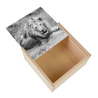 Fabulous Box aus Holz - Foto von einem l&auml;nglichen L&ouml;we Savanne Afrika (11 x 11 x 3,5 cm)
