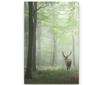 Paul Sinus Art Wandbild auf Leinwand 90x60cm Hirsch im Wald