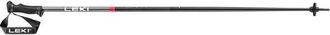 Leki Herren Alpin-Skistock QNTM