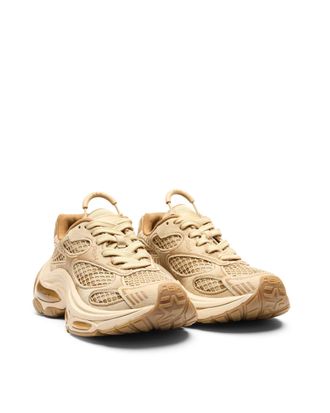 Ash Womens Sneakers Dragon Cappuccino Cappuccino-Moka Mou Upper: Calf Leather Trainers Cappuccino/moka