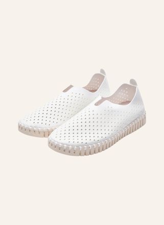 Ilse Jacobsen Ilse Jacobsen Sneaker Low tulip3275 weiss