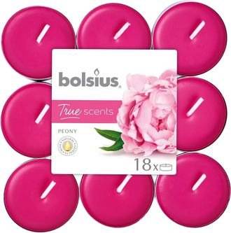 Bolsius Teelichter Pfingstrose, 4 Stunden, Wachs, Pink, Einheitsgröße, 101926943462