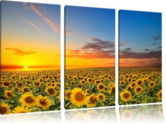 Pixxprint Sonnenuntergang am Sonnenblumenfeld, Leinwandbild 3 Teilig, Gesamtmaß: 120x80cm, Wandbild, Dekoration, fertig gespannt, Kein Poster