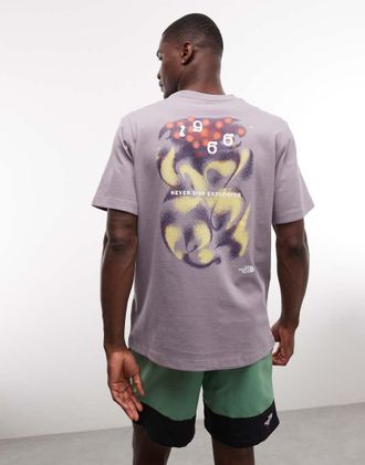 The North Face Motion - Relaxed-Fit-T-Shirt in Grau mit 1966-R&uuml;ckenprint
