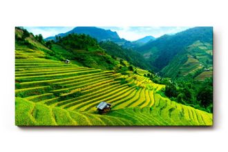 Paul Sinus Art Sinus Art Wandbild 120x60cm Gestufte Reisterrassen in leuchtendem Gr&uuml;n vor Bergkulisse und weitem Himmel