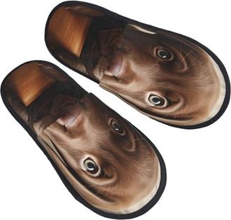 Generic Chien Labrador Mignon 1 Unisexe Pantoufles L&eacute;g&egrave;res Chaussons Chaud Slippers Pour Automne Ext&eacute;rieur Int&eacute;rieur M
