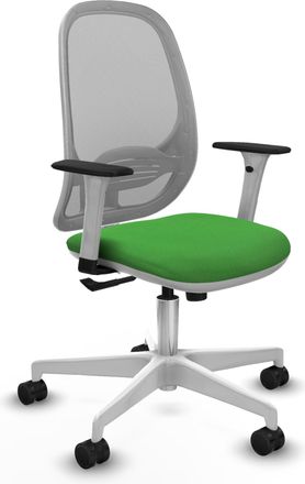 Piqueras y Crespo B&uuml;rodrehstuhl mit 1D-Armlehnen, h&ouml;henverstellbare Lendenwirbelst&uuml;tze, ausgestattet mit 3 Positionen und Schneideschaum, Grau/Gr&uuml;n