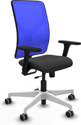 Piqueras y Crespo Telearbeitssessel mit 3D-Armen, h&ouml;henverstellbare Lendenwirbelst&uuml;tze, ausgestattet mit Syncro/Traslack und Schneideschaum, mit Rollen von 65 mm, Parke