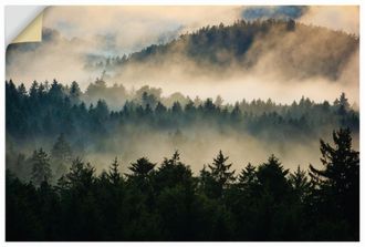 Artland ARTland Wanddeko Wandtattoo selbstklebende Vinylfolie 90x60 cm Landschaften Wald B&auml;ume Nebel Herbst Sonnenaufgang Bayern U4TM