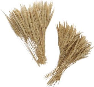 Boltze Boltze Granos Dekozweig Natur (1 St&uuml;ck)