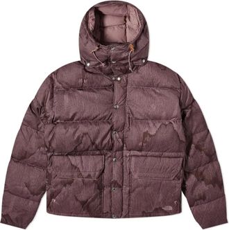 The North Face Herren, Jacken, Grau, LGr&ouml;&szlig;e