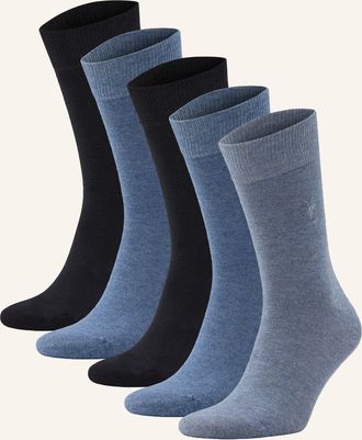 AllSaints Allsaints 3er-Pack Socken Adan blau