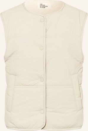 Lanius Lanius Steppweste Zum Wenden weiss