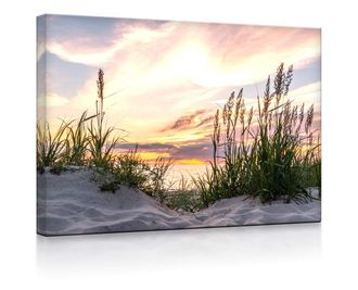 Lightbox Multicolor | Leuchtbild | Gras am Strand bei Sonnenuntergang | 100x70 cm | Fully Lighted