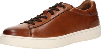 Salamander Sneaker